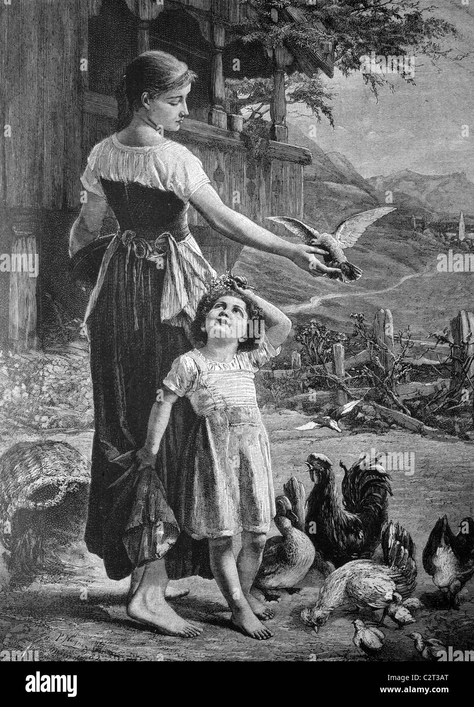 Historical farm animals breeding hi-res stock photography and images ...