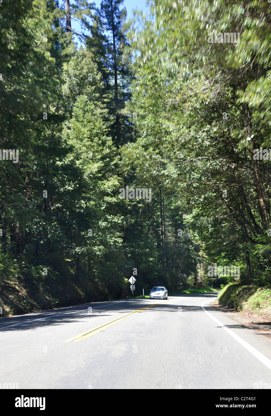 Redwoods National Park, California, USA Stock Photo - Alamy