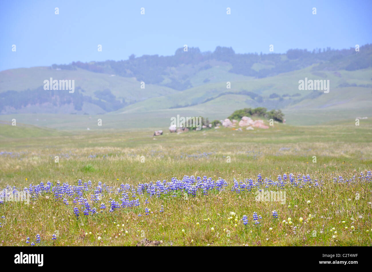California rural hi-res stock photography and images - Alamy