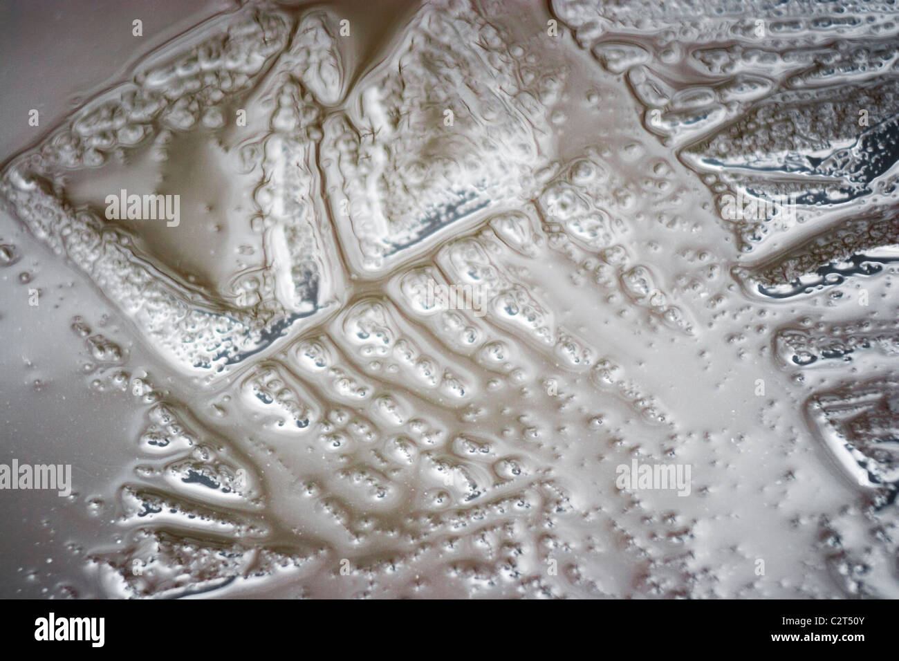 Geometric patterns on water surface hi-res stock photography and images ...