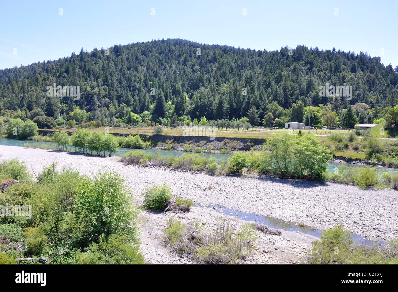 River in Redwoods National Park, California, USA Stock Photo - Alamy