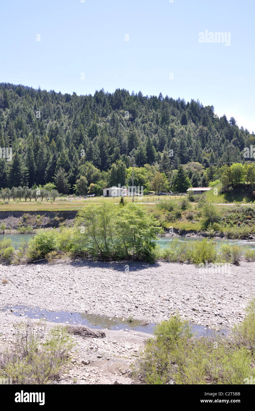 River in Redwoods National Park, California, USA Stock Photo - Alamy