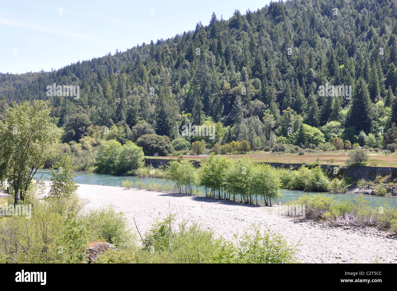 River in Redwoods National Park, California, USA Stock Photo - Alamy