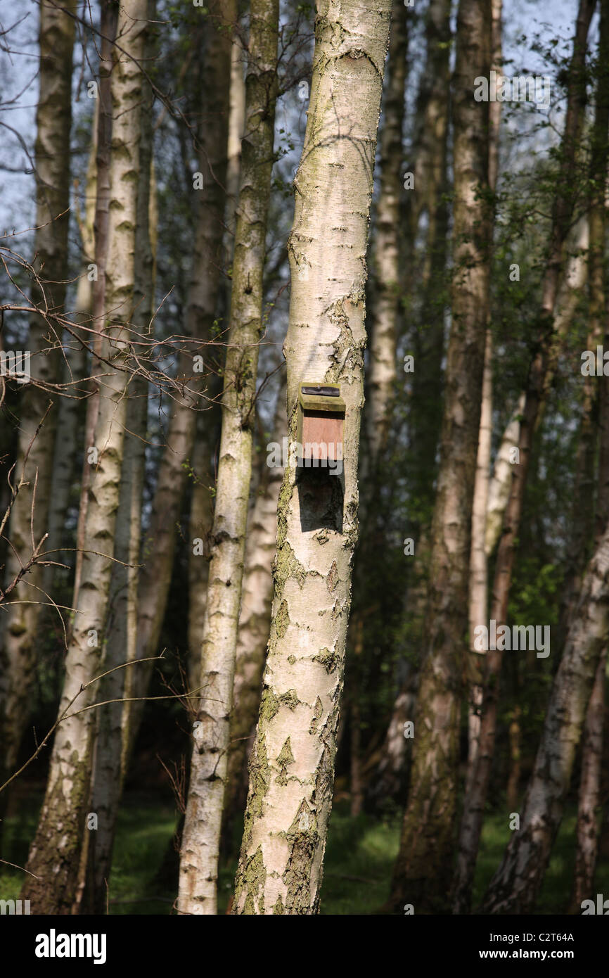 Fixed to tree hi-res stock photography and images - Alamy