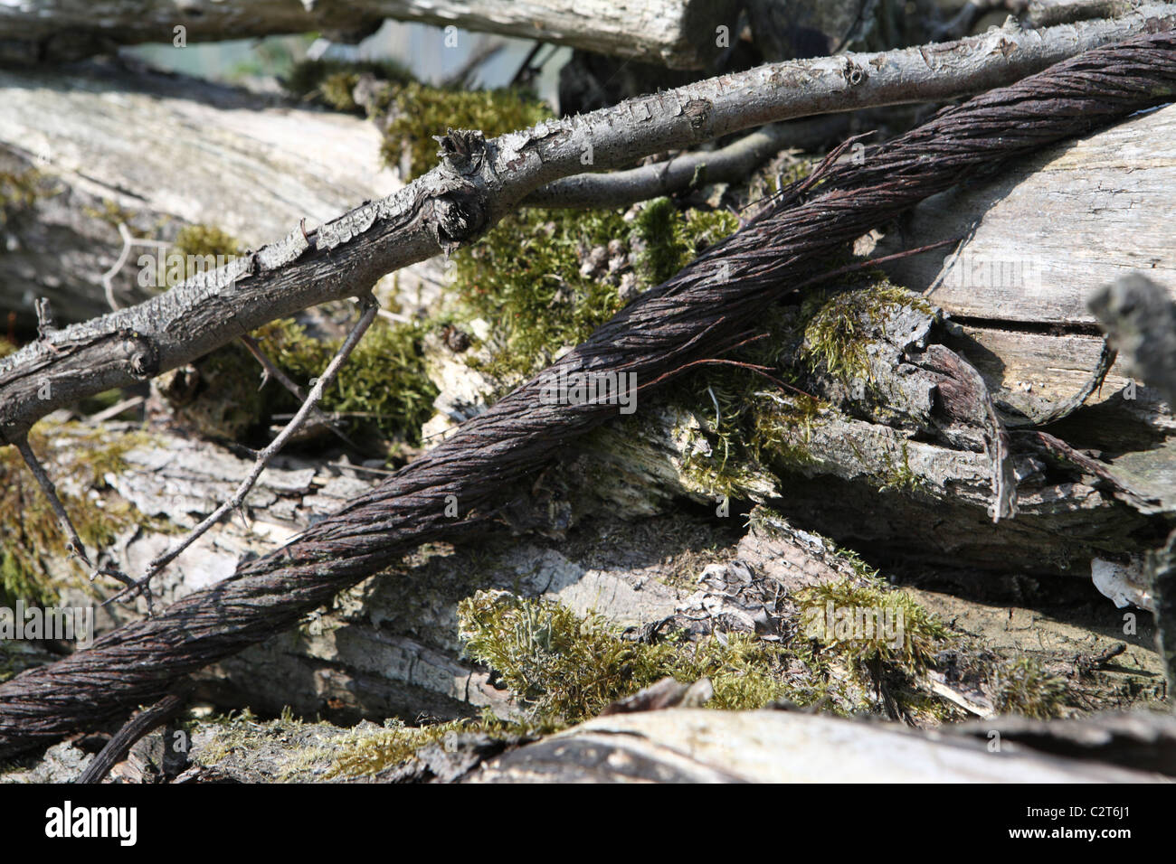 rotting log pile with wire restraint rusting away Stock Photo - Alamy