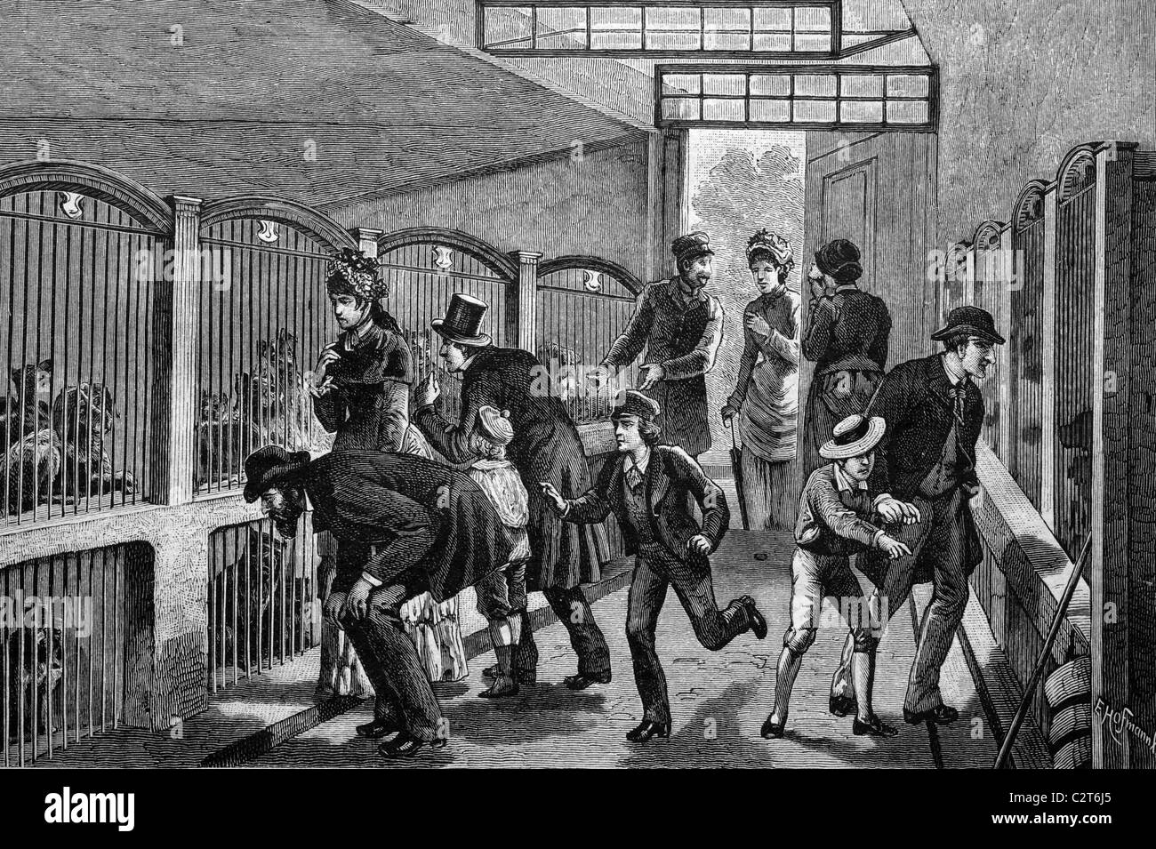 Figure of dog Black and White Stock Photos & Images - Alamy