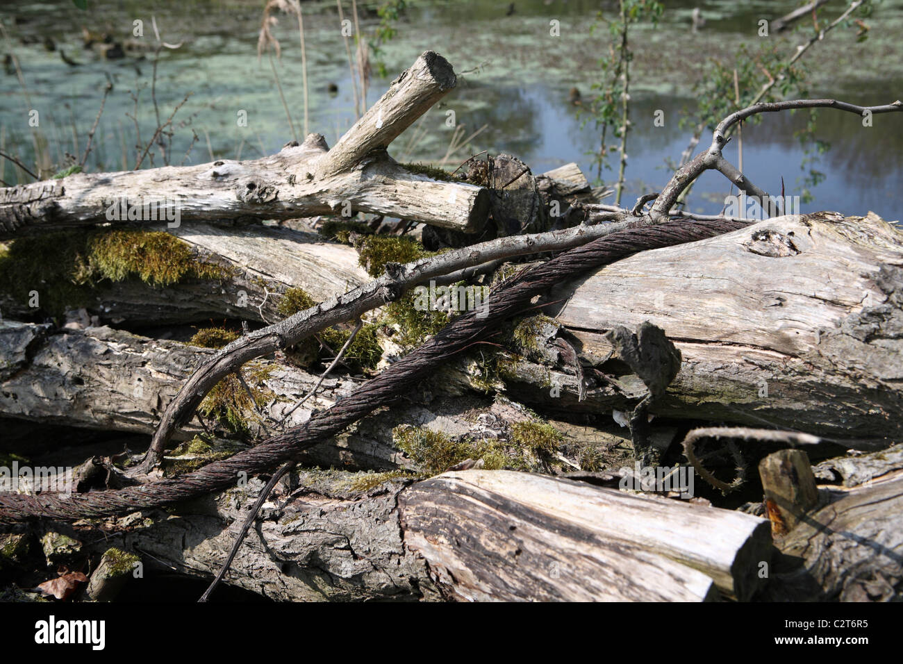 rotting log pile with wire restraint rusting away Stock Photo - Alamy