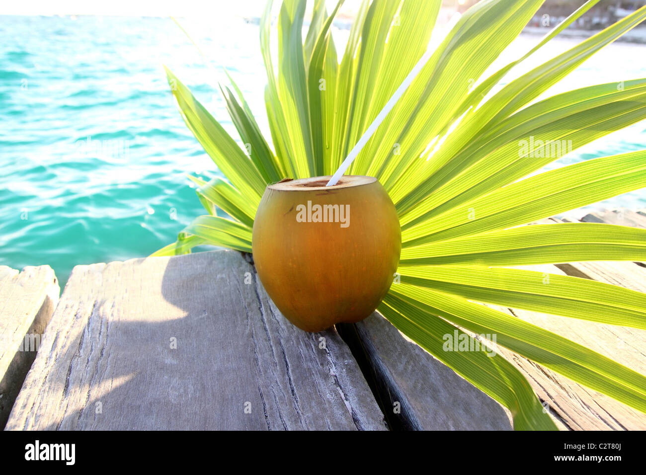 Cocktail palm tree hi-res stock photography and images - Alamy