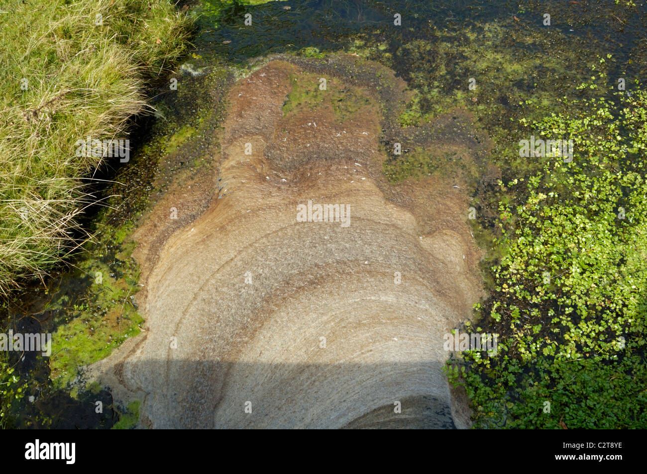 Spume froth hi-res stock photography and images - Alamy