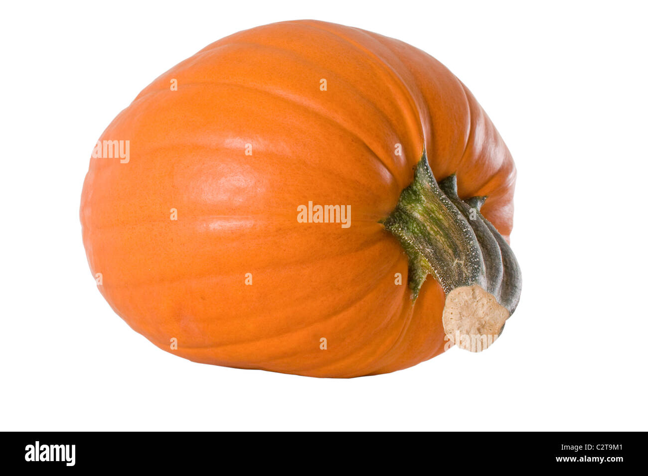 Low Angle Pumpkin Stock Photo - Alamy