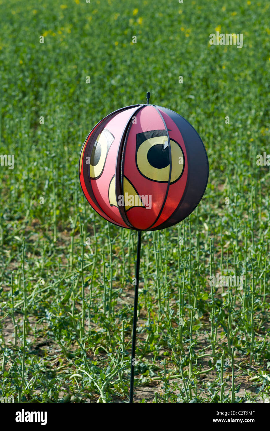 Inflatable scarecrow uk hi-res stock photography and images - Alamy