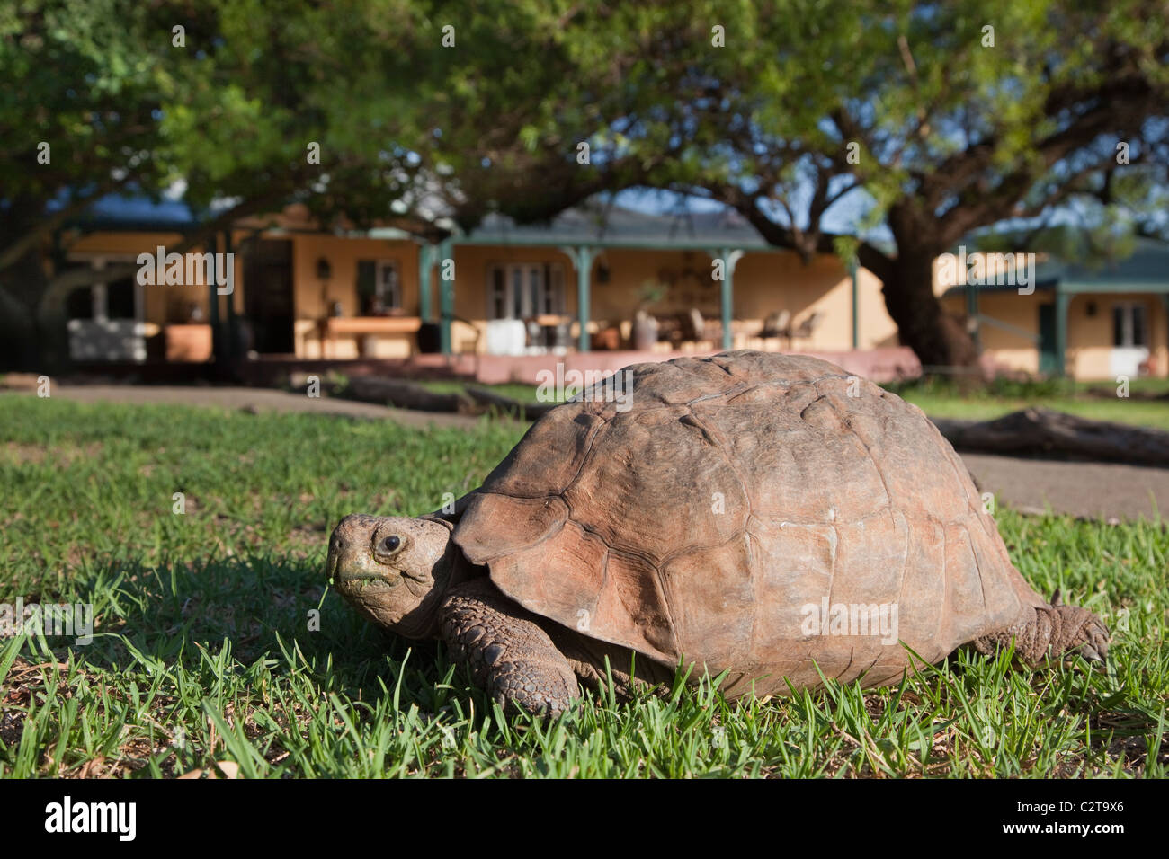 Samara game reserve hi-res stock photography and images - Alamy