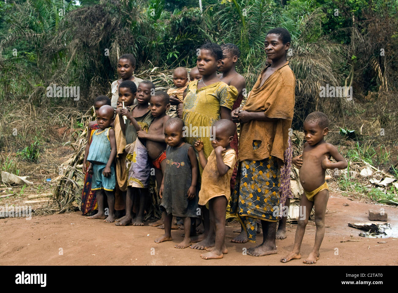 pygmies in the forest, Republic of Congo Stock Photo - Alamy