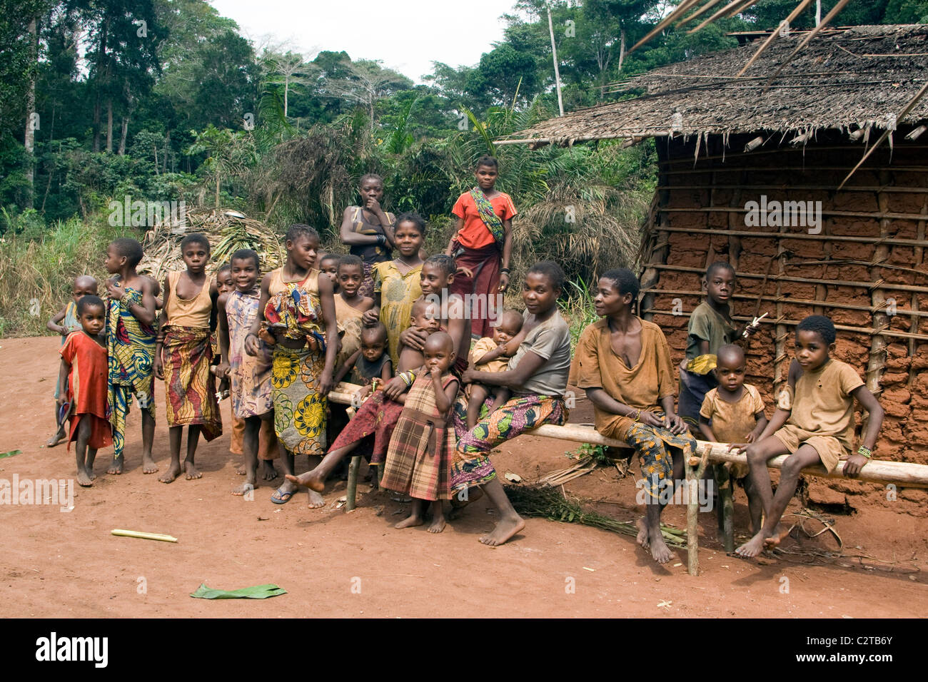 pygmies in the forest, Republic of Congo Stock Photo - Alamy