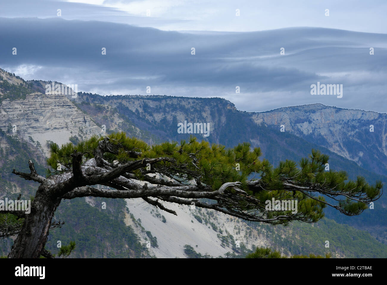 rocky nature overcast. spring landscape Stock Photo - Alamy