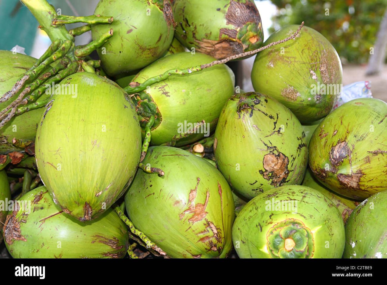 Fresh tender coconut water hi-res stock photography and images - Alamy
