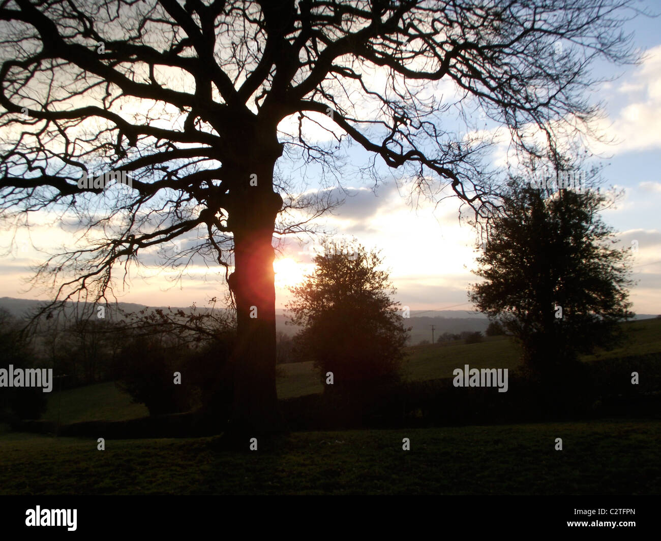 sun setting behind tree Stock Photo - Alamy