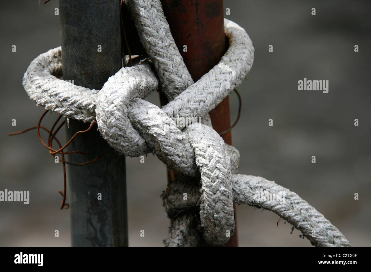 close up of rope with knot tied to pole Stock Photo - Alamy