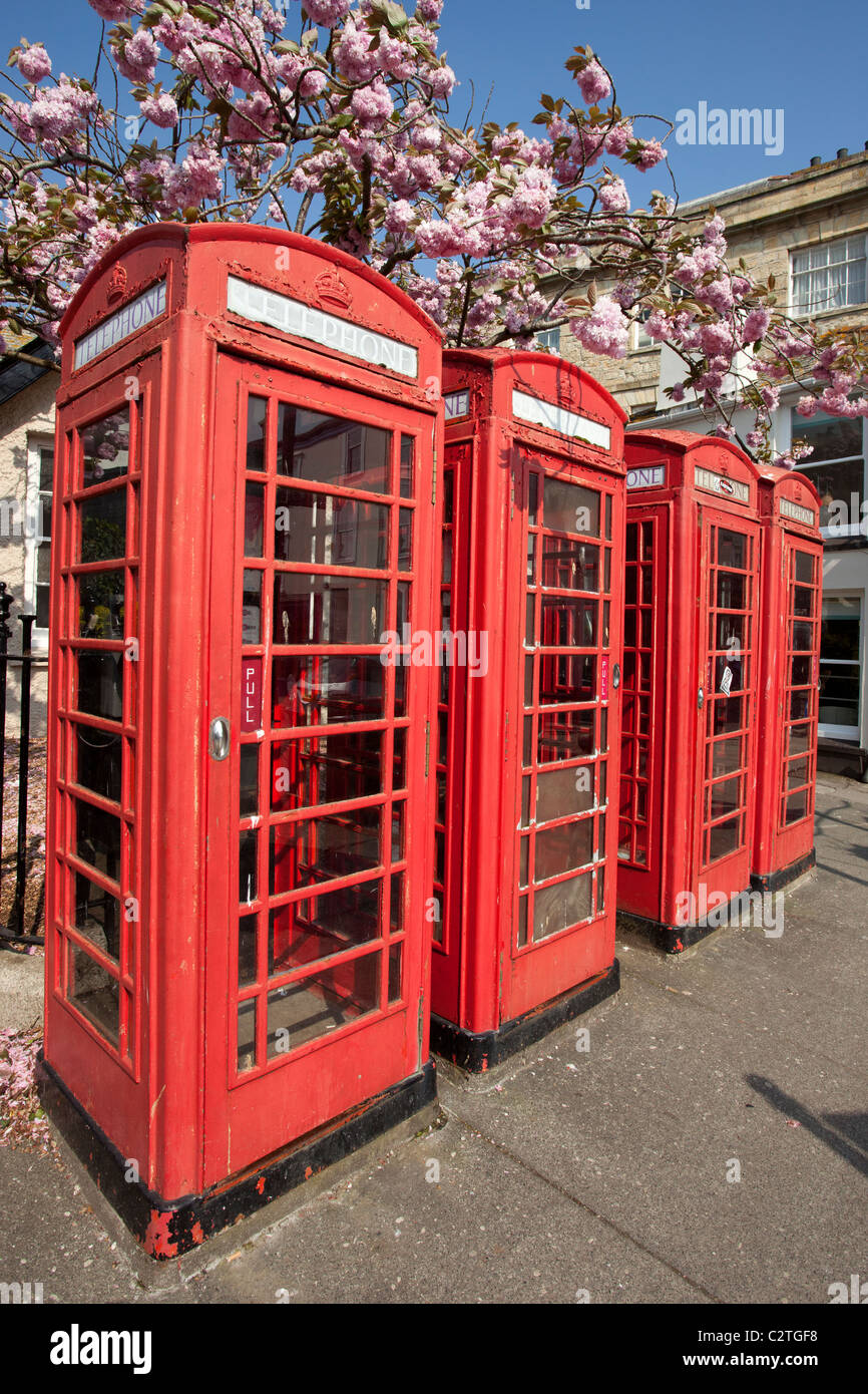 Typical english telephone boxes hi-res stock photography and images - Alamy