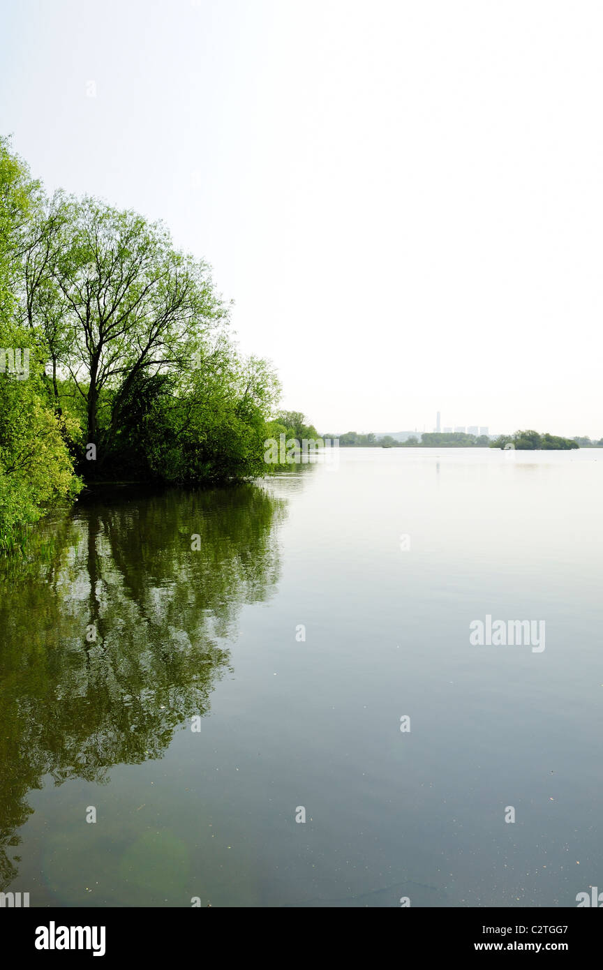 nature reserve gravel pits attenborough Nottingham england uk Stock ...