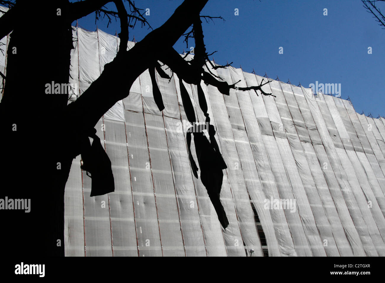 old tie hanging from tree branch with scaffolding on construction ...
