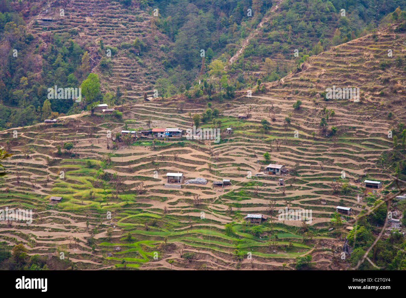 Terraced rice fields Stock Photo - Alamy