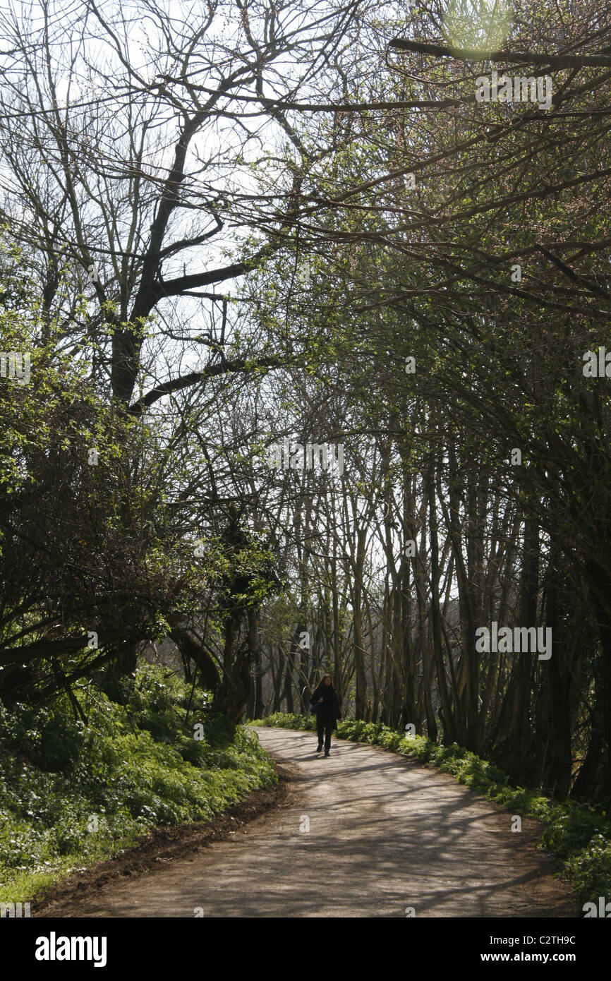 Country lane path fields road track forest hi-res stock photography and ...