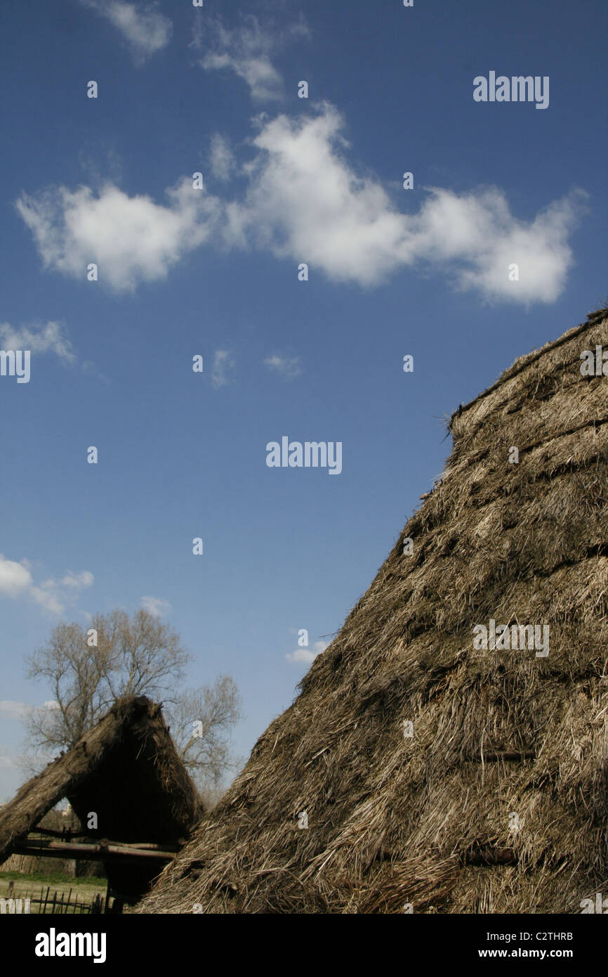 old traditional rural farm structure with straw roof Stock Photo - Alamy
