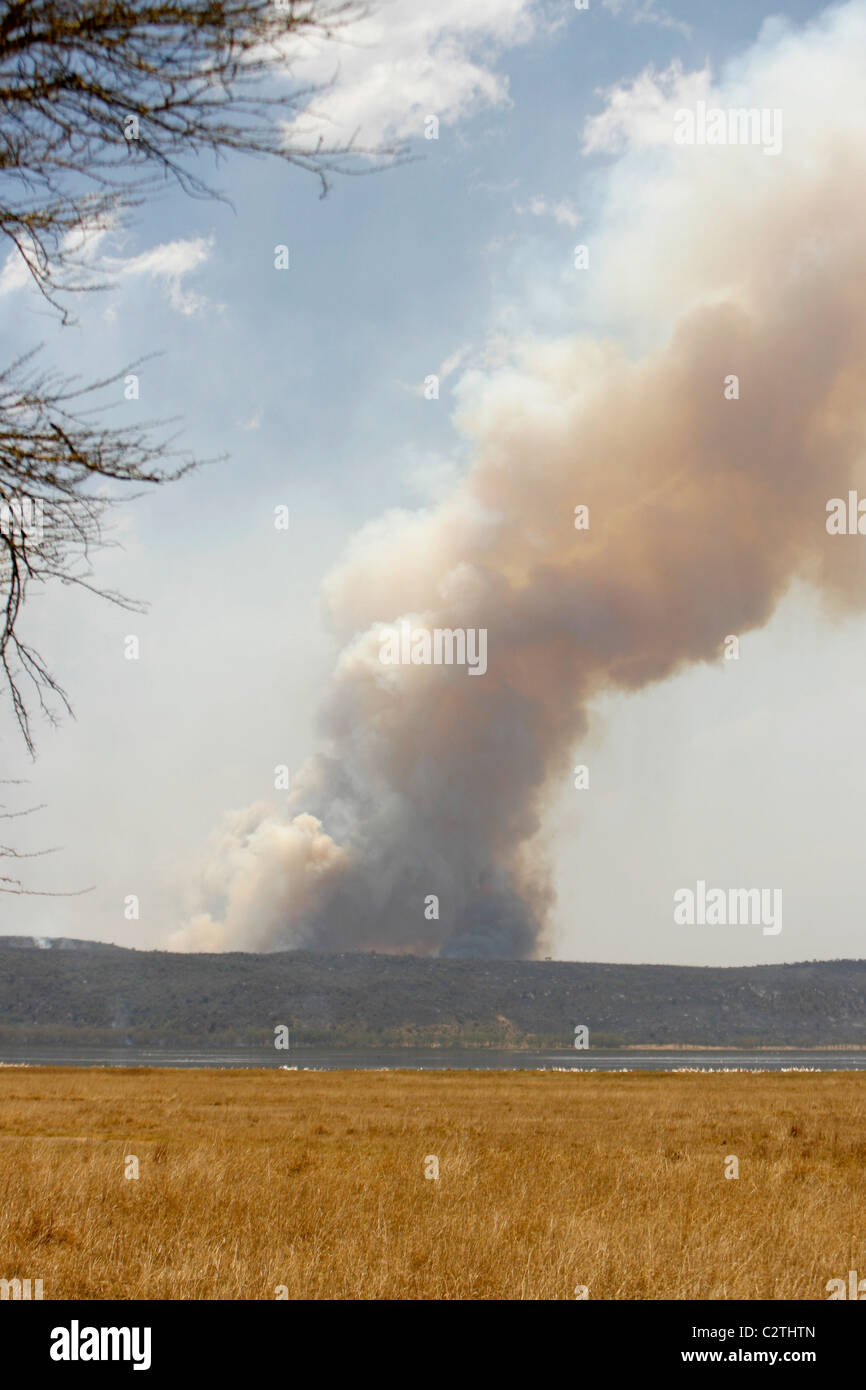 Smoke rises into sky hi-res stock photography and images - Alamy