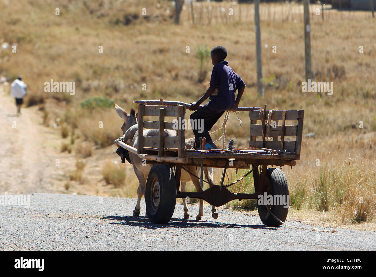Donkey with trailer hi-res stock photography and images - Alamy
