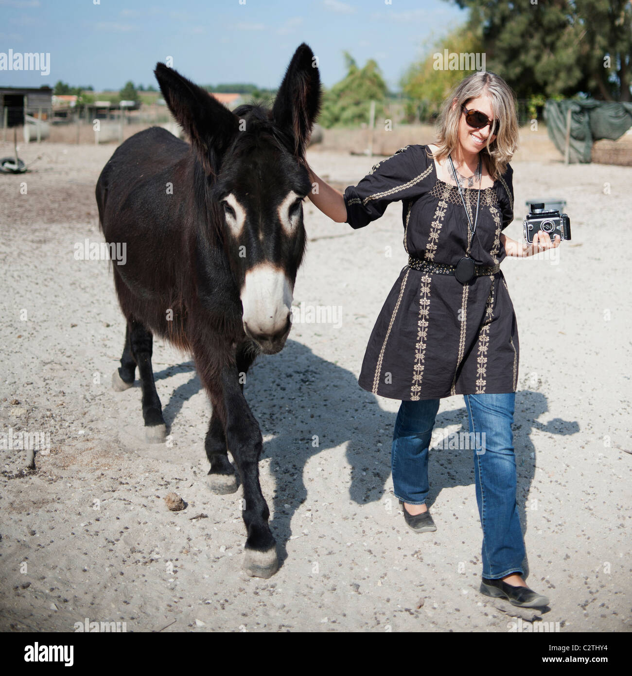 Blonde donkey hi-res stock photography and images - Alamy