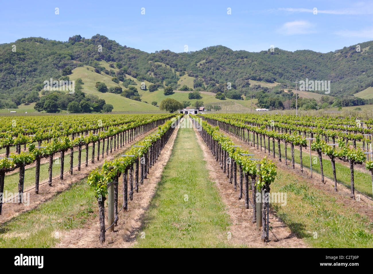 Napa ca usa hi-res stock photography and images - Alamy