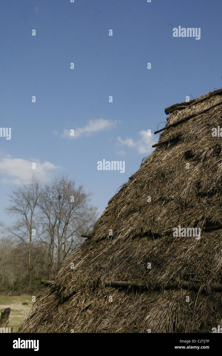 old traditional rural farm structure with straw roof Stock Photo - Alamy