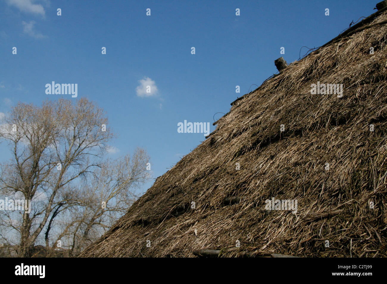 old traditional rural farm structure with straw roof Stock Photo - Alamy
