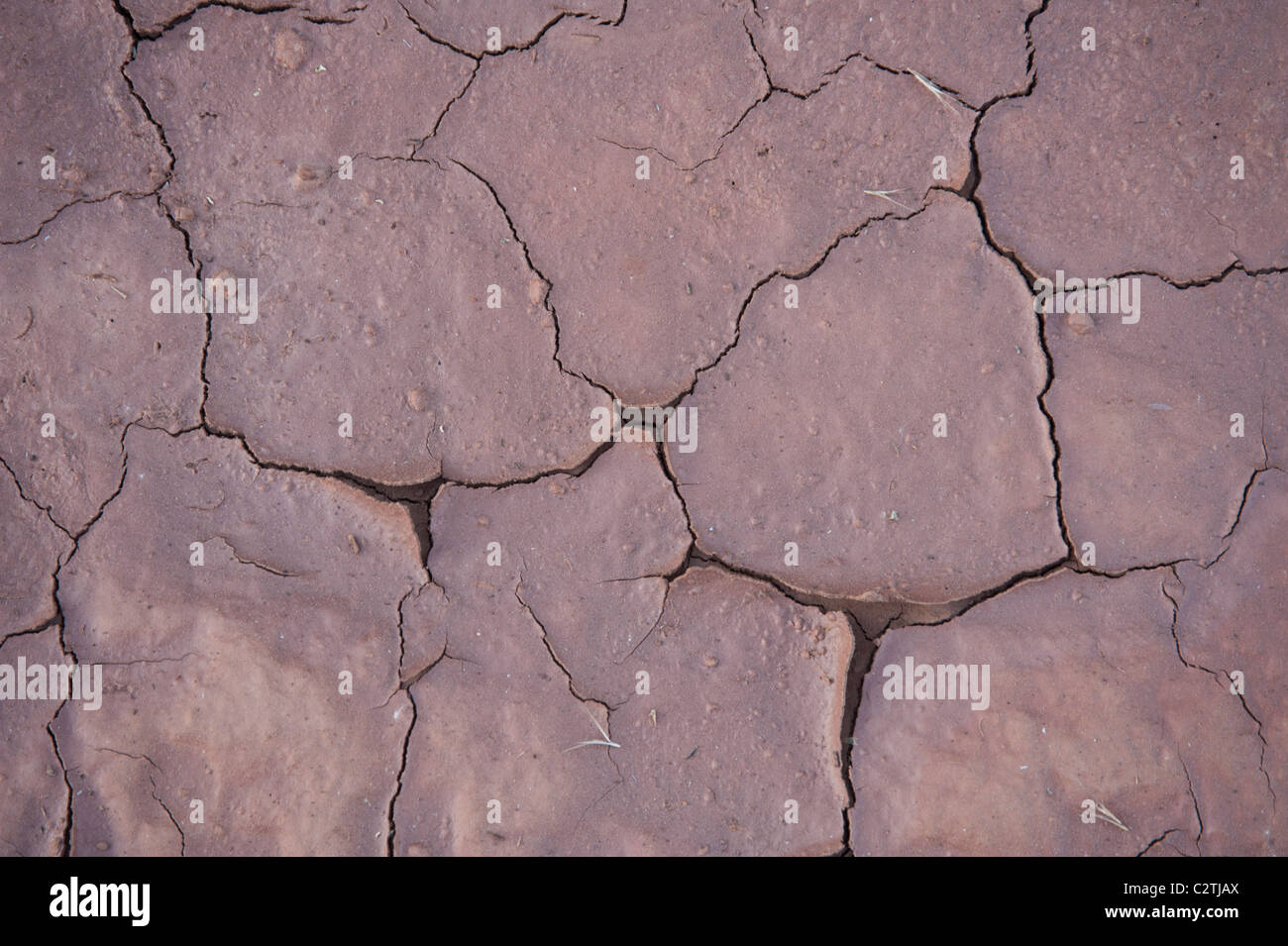 Mud drying out hi-res stock photography and images - Alamy
