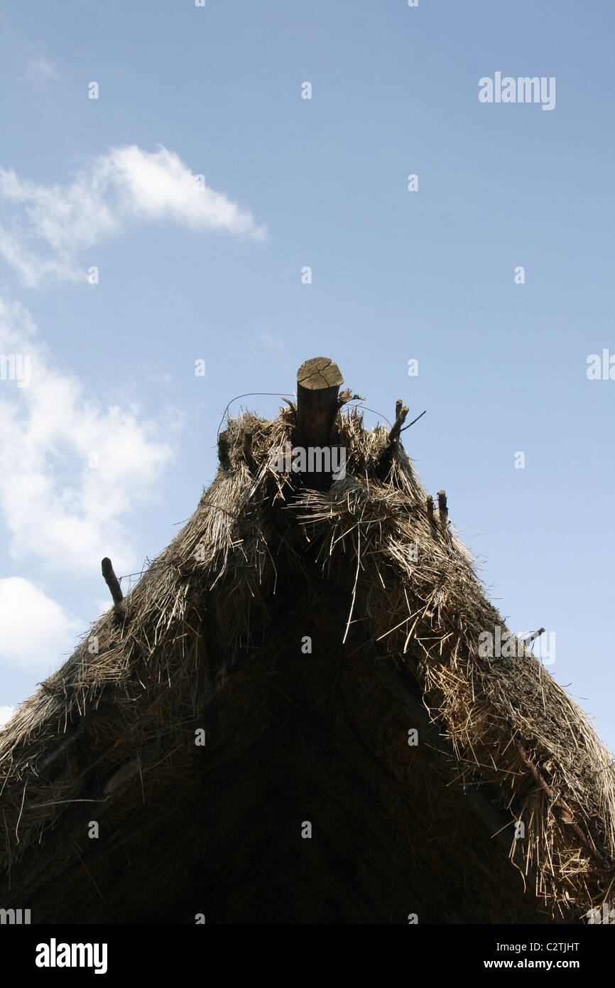 old traditional rural farm structure with straw roof Stock Photo - Alamy