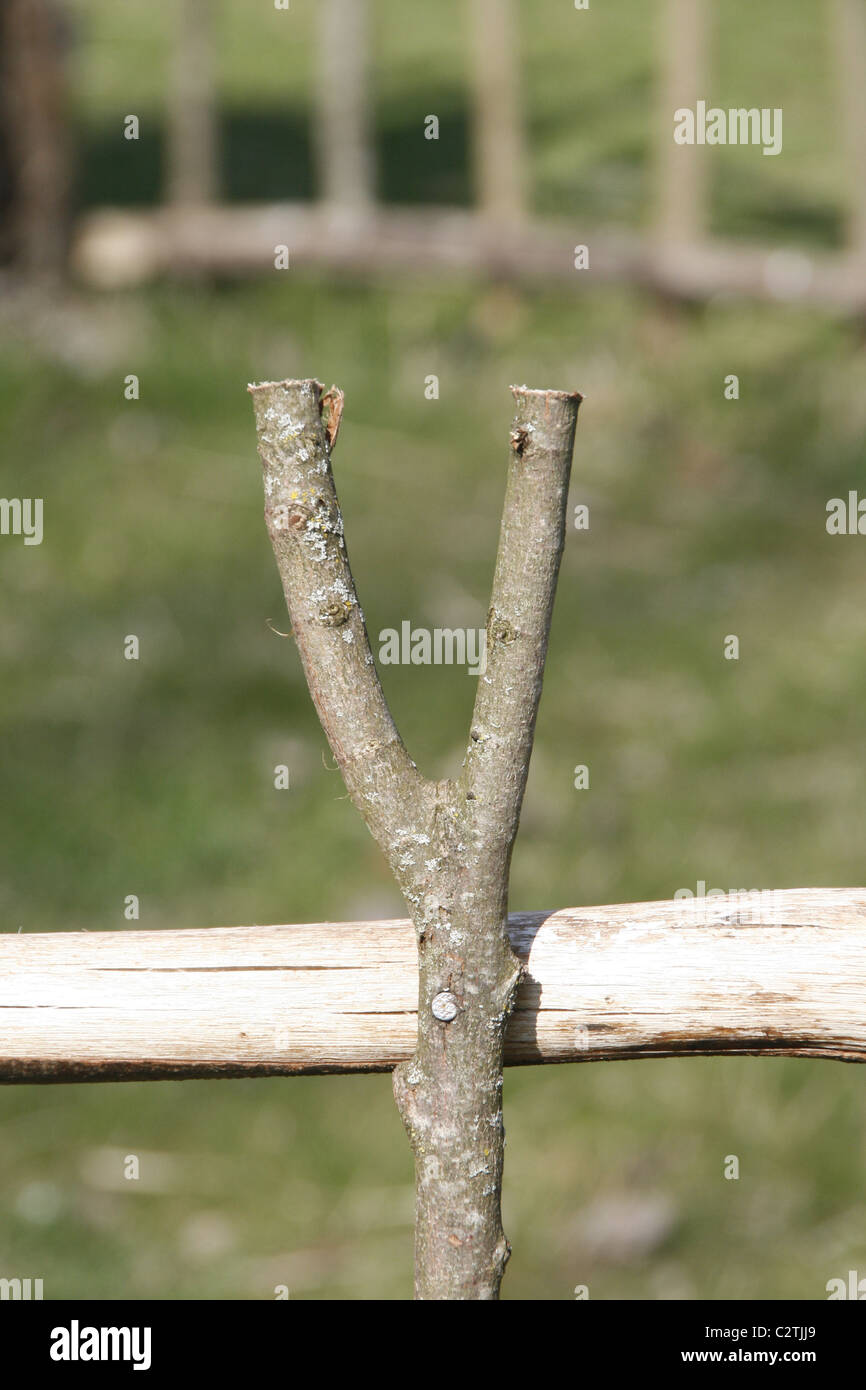 Wooden Branch Stick
