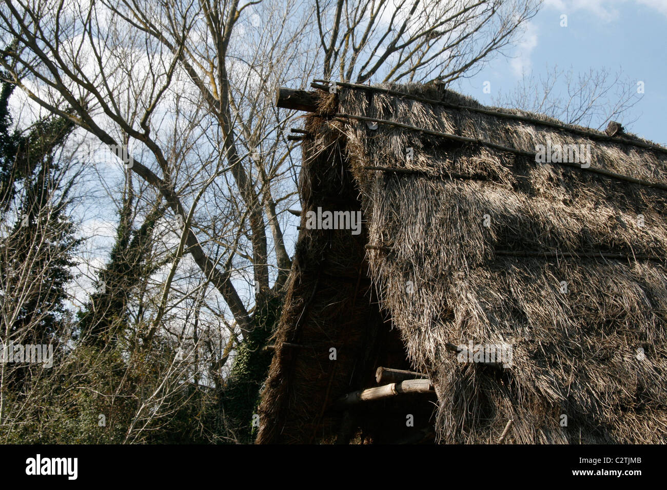 old traditional rural farm structure with straw roof Stock Photo - Alamy