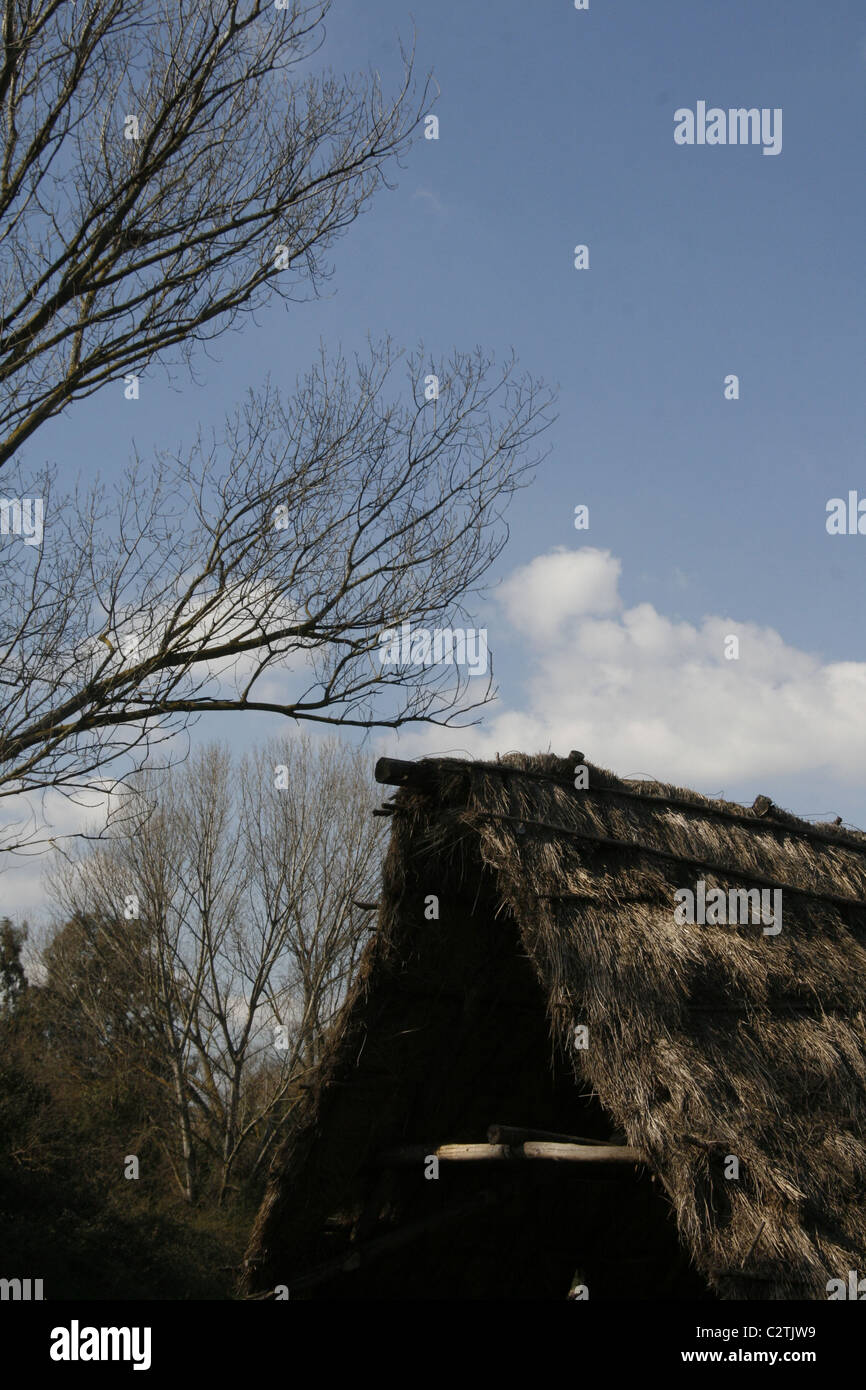 old traditional rural farm structure with straw roof Stock Photo - Alamy