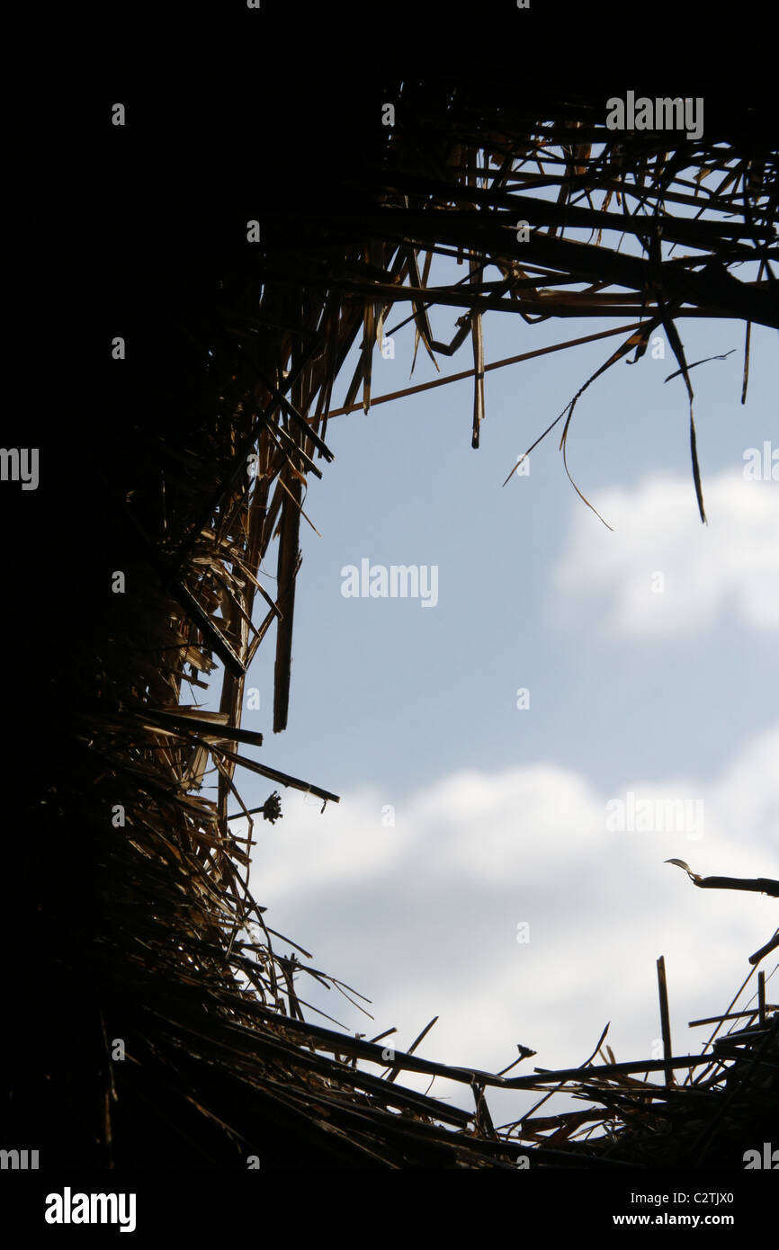 old traditional rural farm structure with straw roof Stock Photo - Alamy