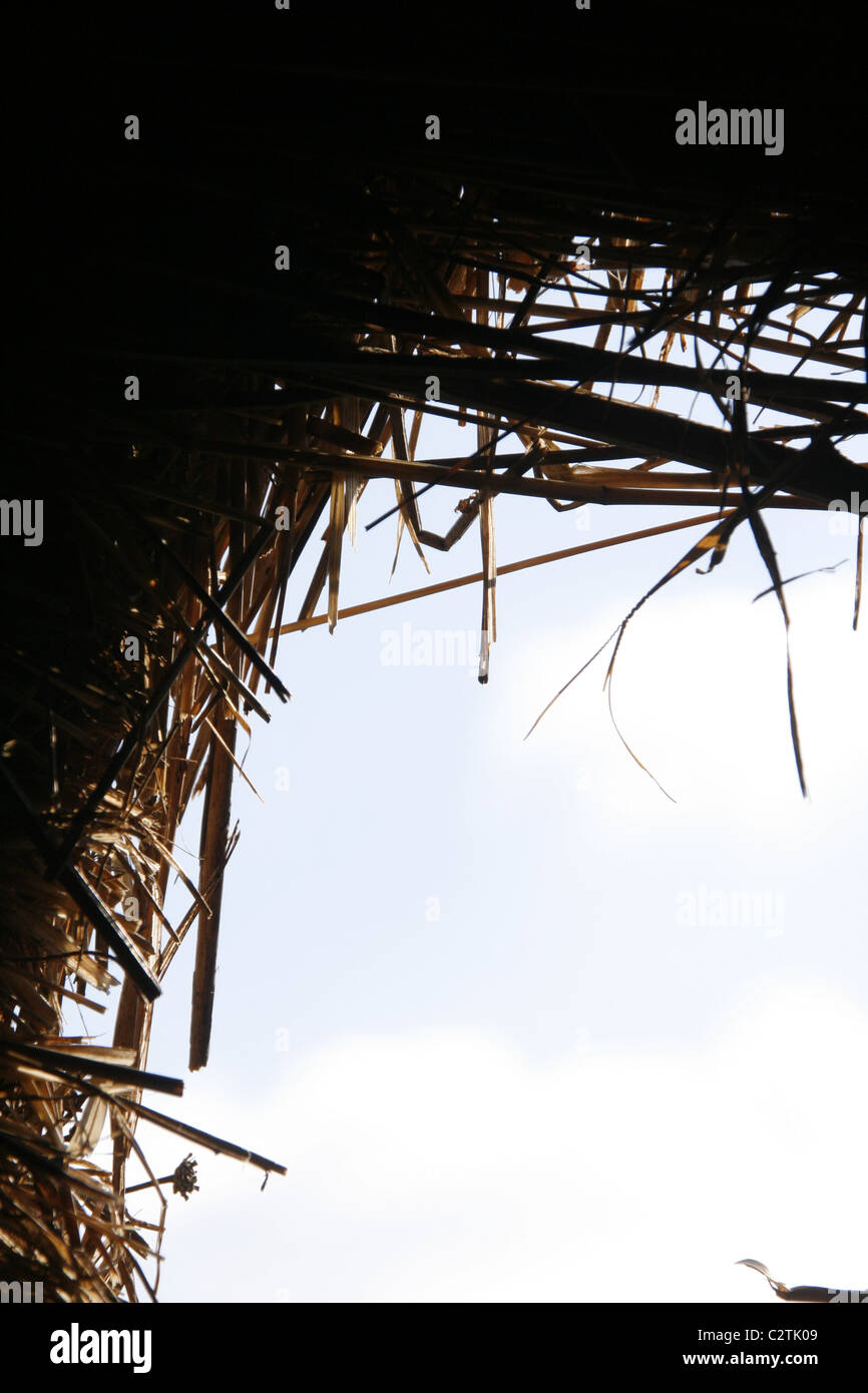 old traditional rural farm structure with straw roof Stock Photo - Alamy