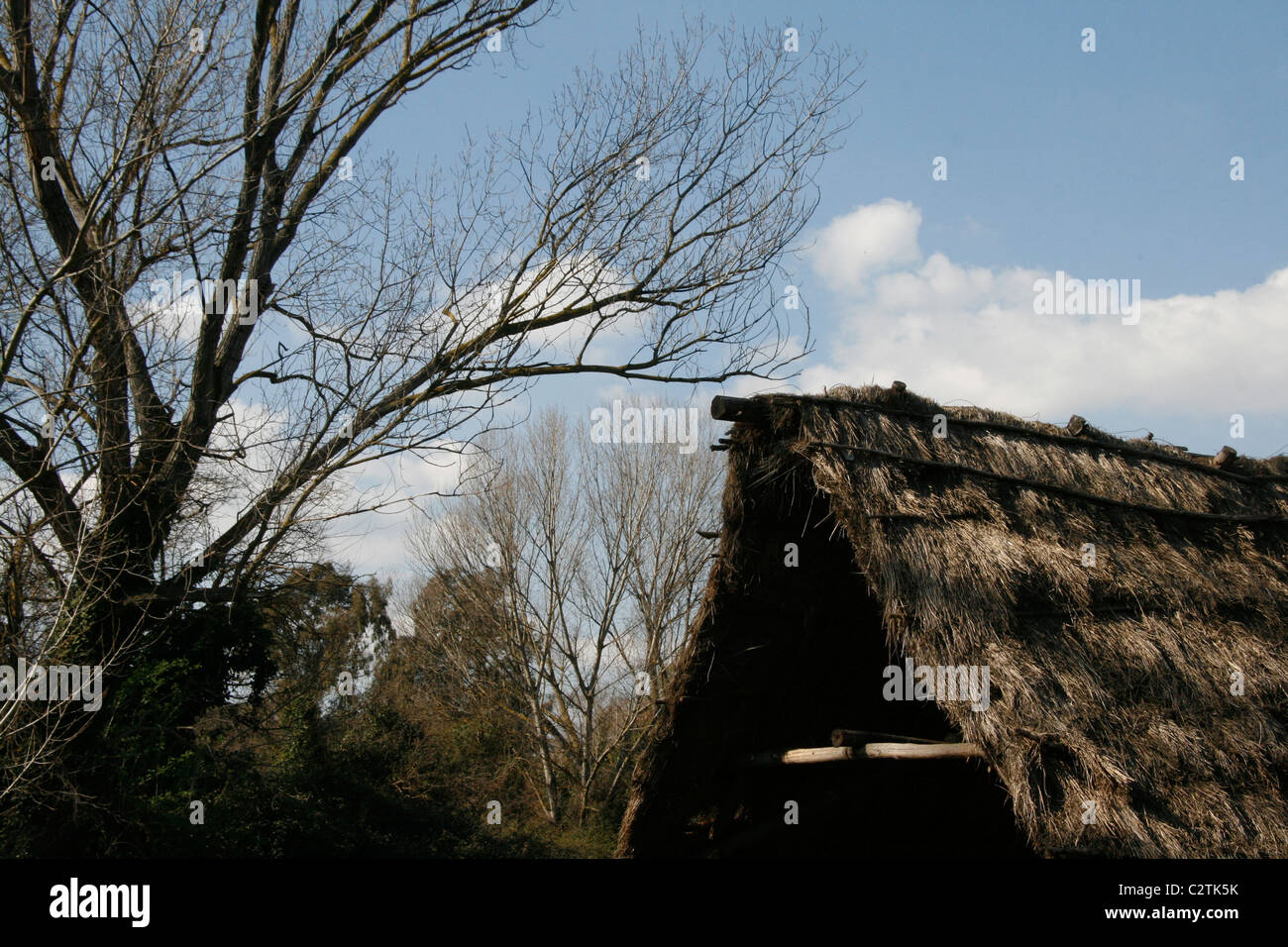 old traditional rural farm structure with straw roof Stock Photo - Alamy