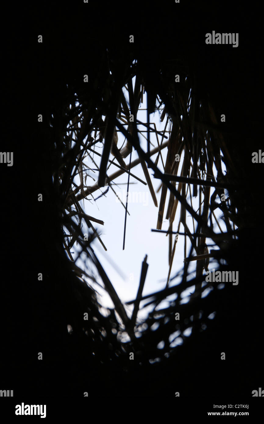 old traditional rural farm structure with straw roof Stock Photo - Alamy
