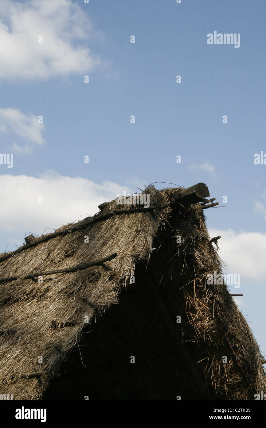 old traditional rural farm structure with straw roof Stock Photo - Alamy