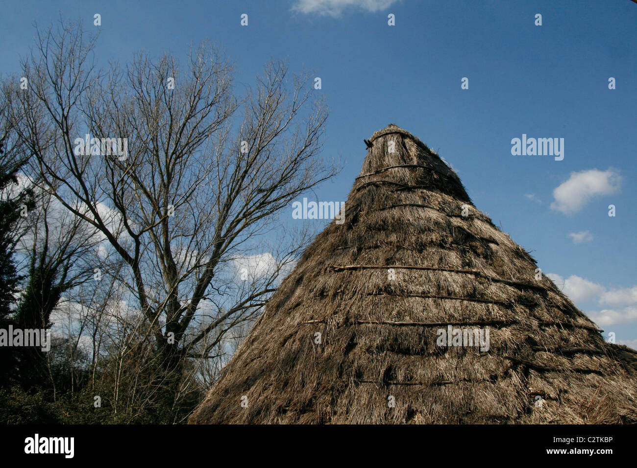old traditional rural farm structure with straw roof Stock Photo - Alamy