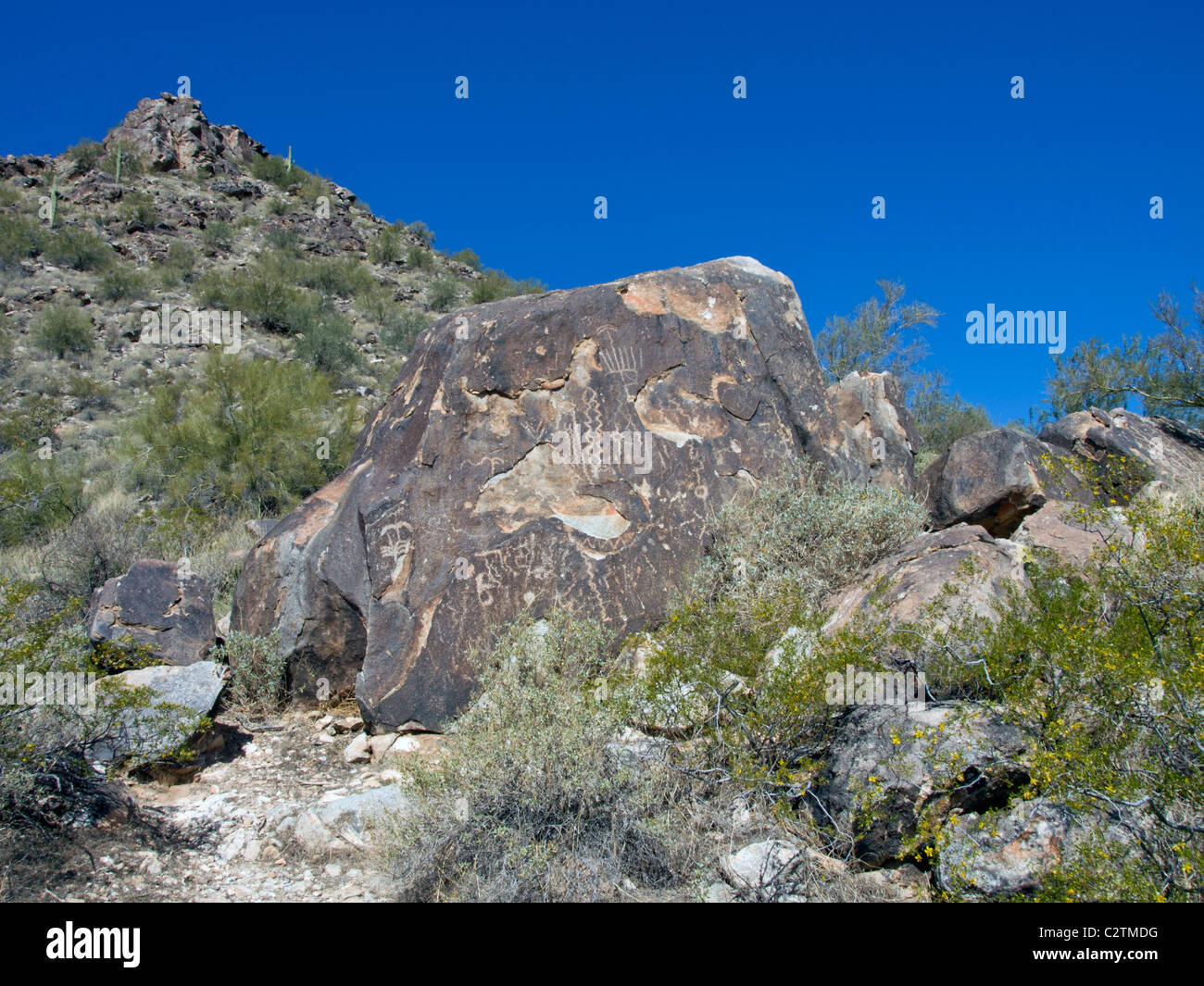Petroglyphs from the Hohokam civilization 300-1,000 years old in White ...