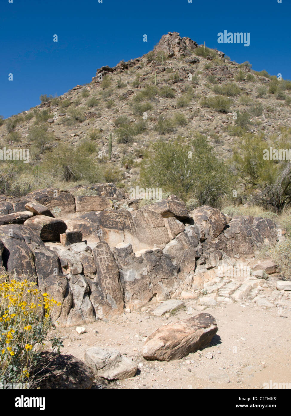 Petroglyphs from the Hohokam civilization 300-1,000 years old in White ...
