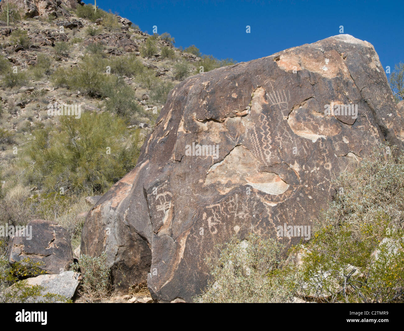 Petroglyphs from the Hohokam civilization 300-1,000 years old in White ...