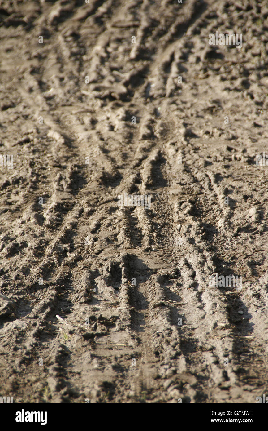 many bike tyre tracks crossing in mud in field in countryside Stock ...