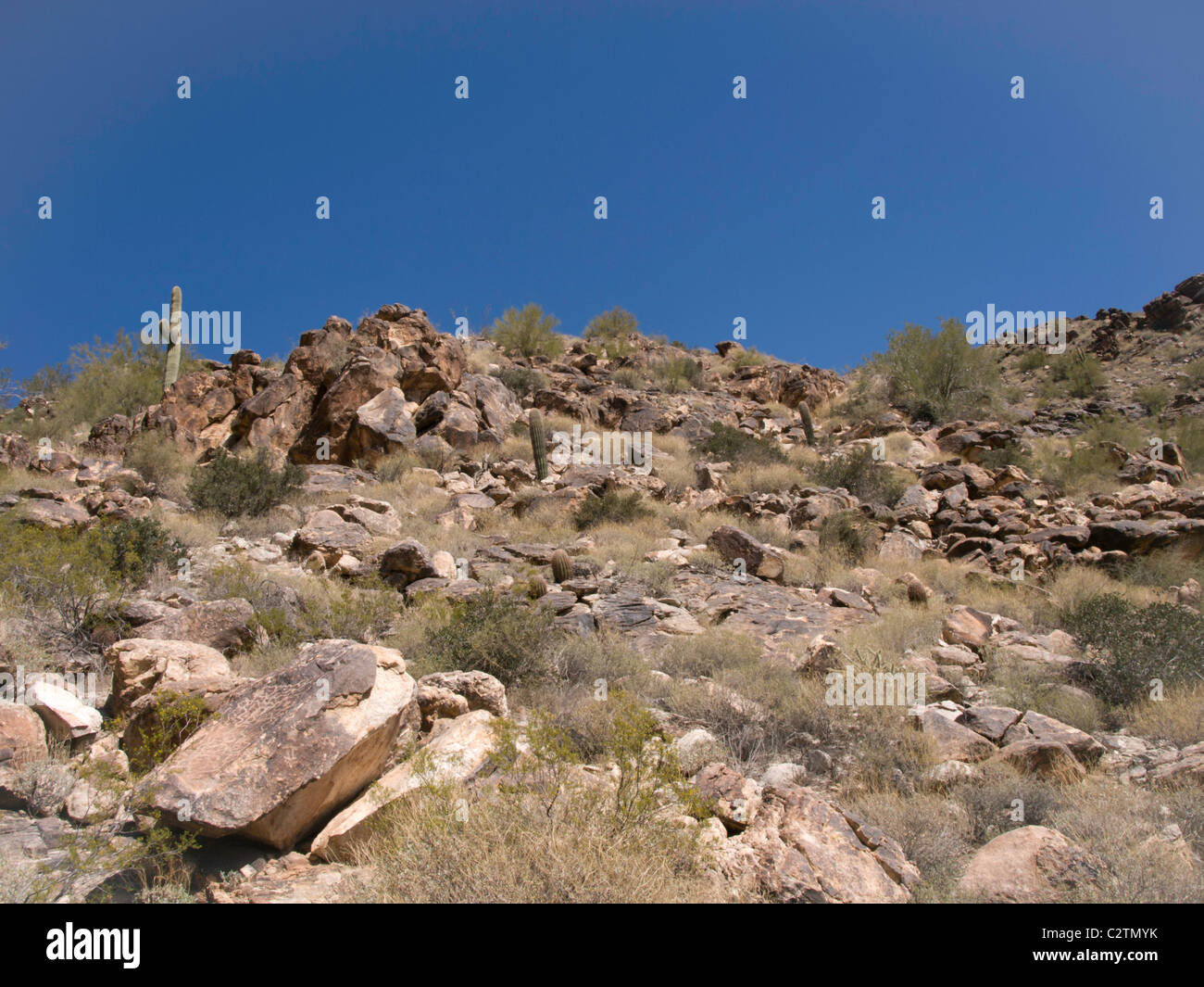 Petroglyphs from the Hohokam civilization 300-1,000 years old in White ...